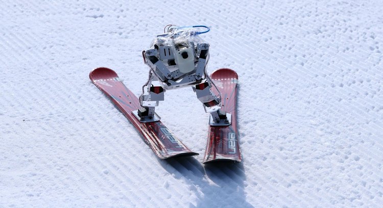 国内首次机器人滑雪赛举行